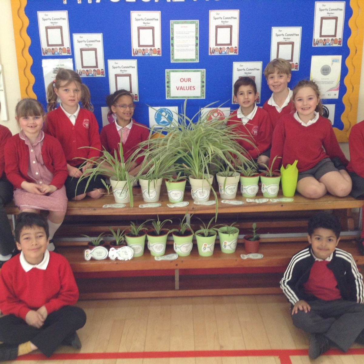 The Hills Academy - Plants!